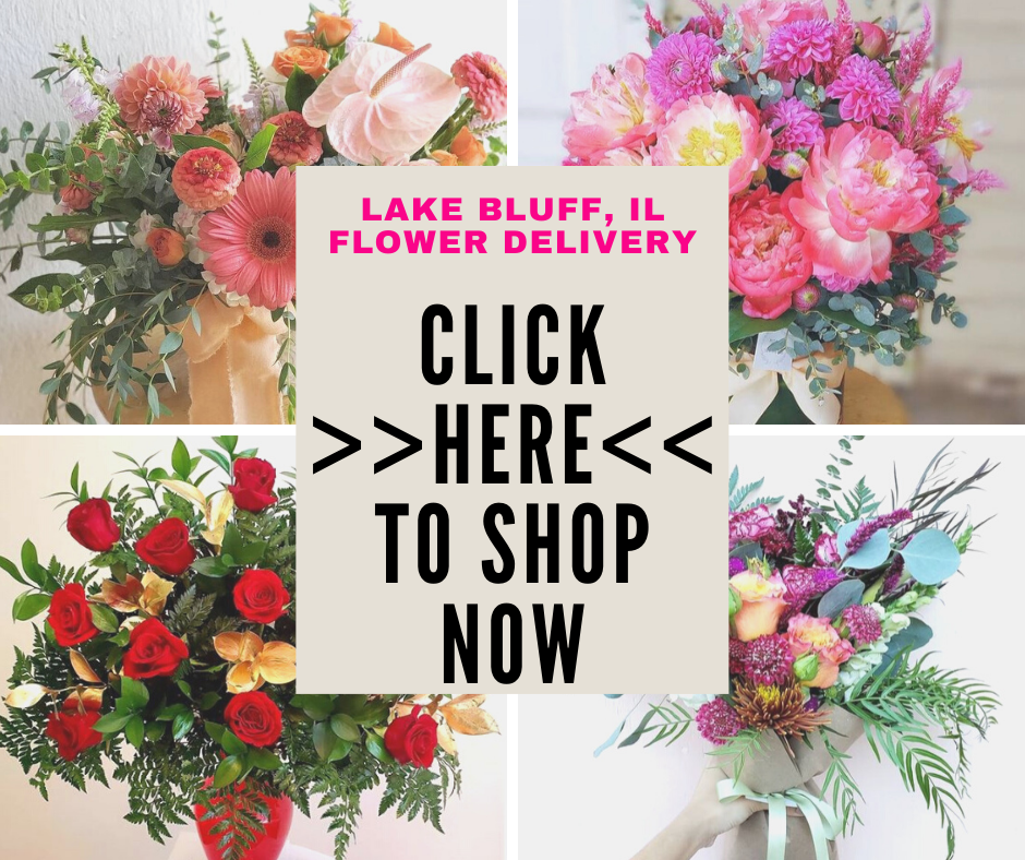 Lake Bluff, IL Florist | Same Day Flower Delivery IL 60044 – Bloom ...